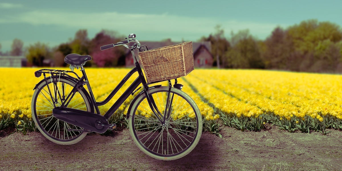 Ontdek meer over Transport-fiets.nl